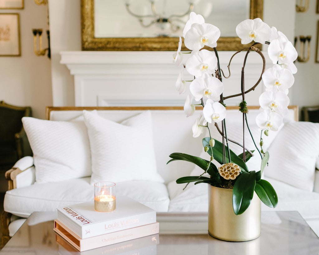 CASCADING ORCHID PLANTS – Floris